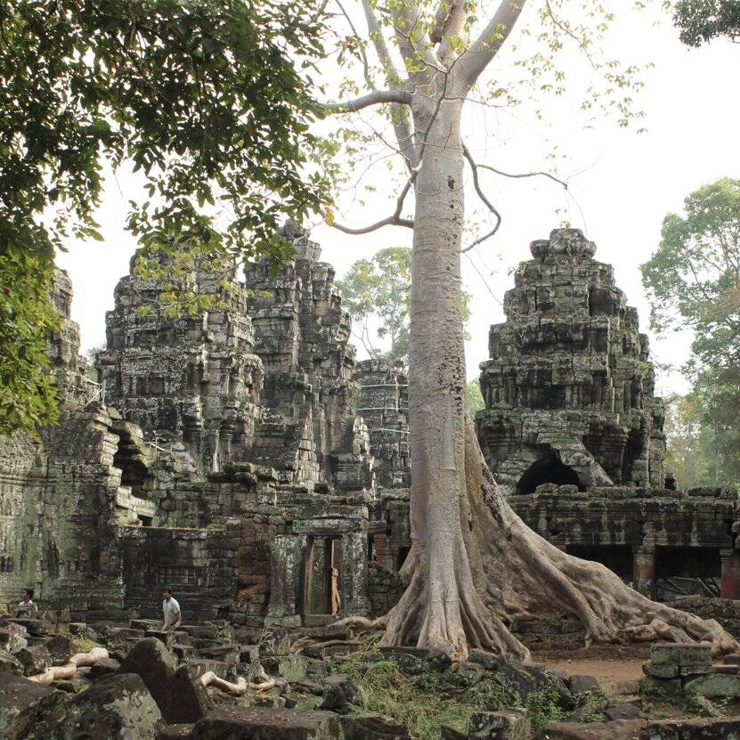 Cambodia - Trinity Law School